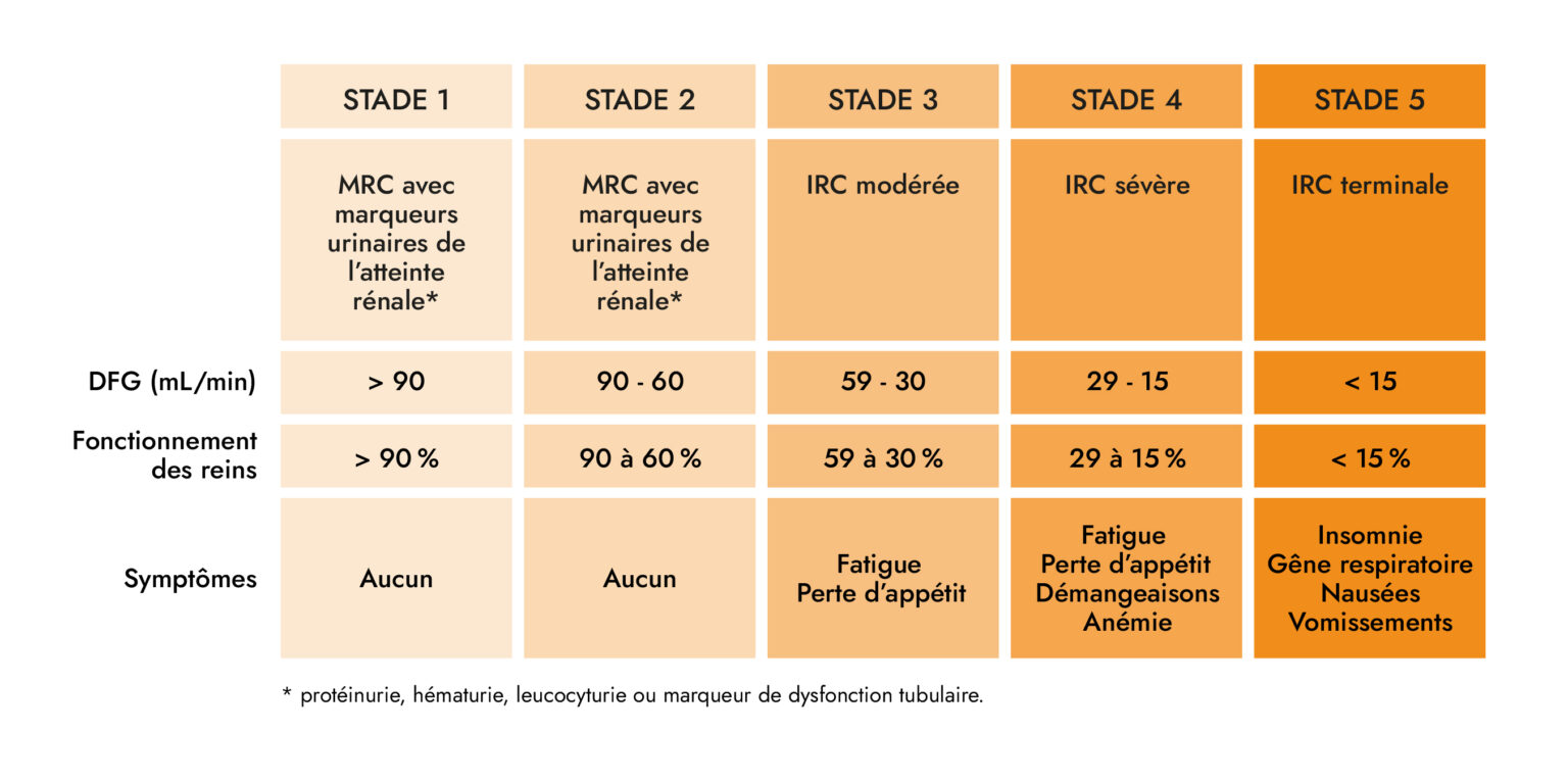 La maladie rénale chronique - Auraparis